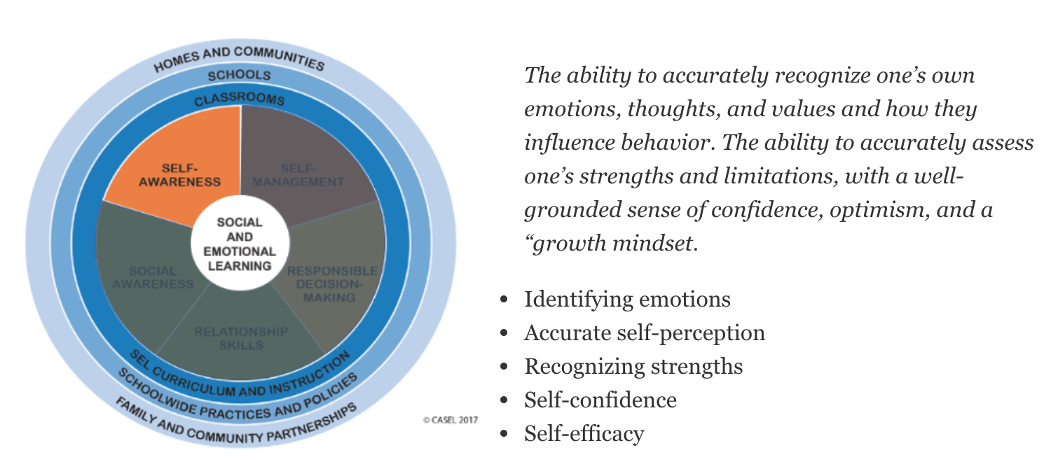 Unpacking the CASEL Framework in SEL & Leadership Pilot Program - Arete